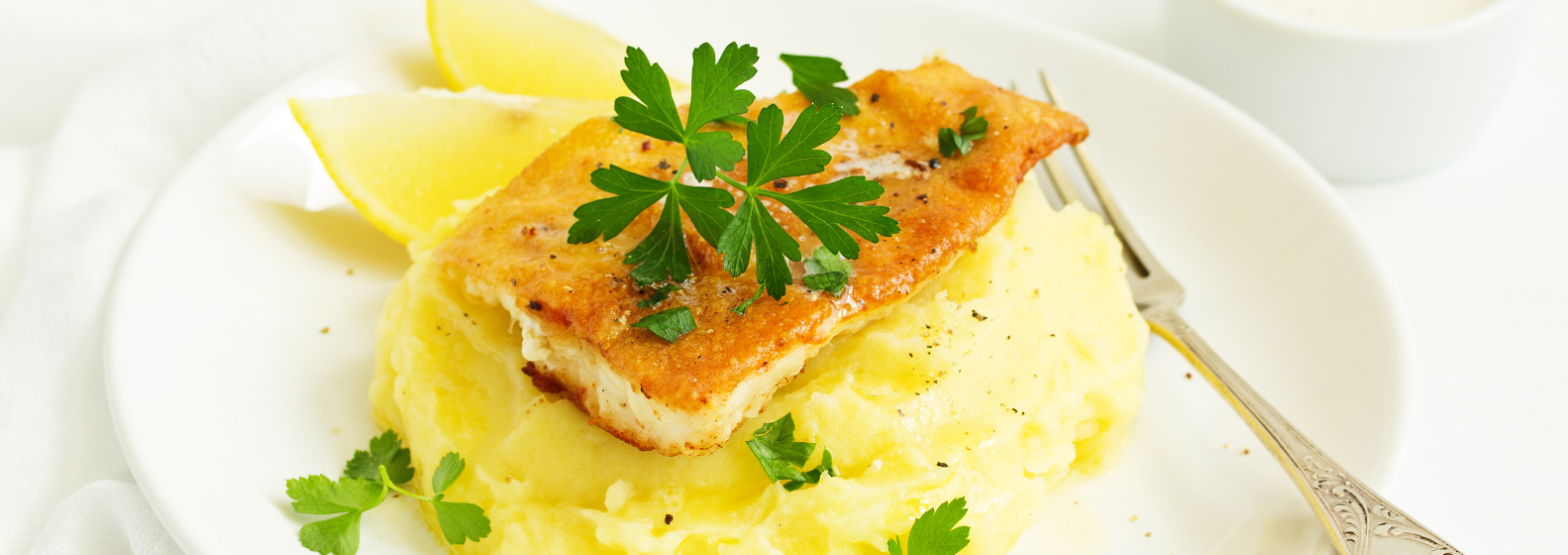 Menu for Kids – Grand Old House Restaurant and Fine Dine
